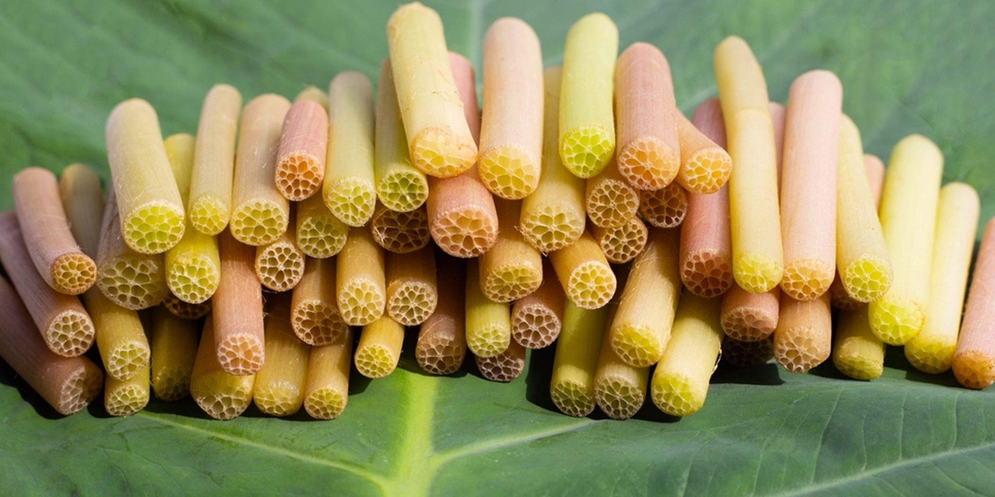 The Ultimate List of Fiber-Rich Foods for Weight Loss - Fitterfly